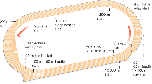 The 400-meter track is made of two layers of molded vulcanized rubber ...